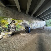 BELTLINE TRAIL - 434 Photos & 10 Reviews - Toronto, ON - Yelp