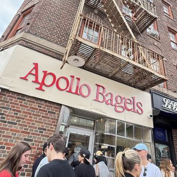 APOLLO BAGELS - Updated June 2025 - 530 Photos & 311 Reviews - 242 E ...
