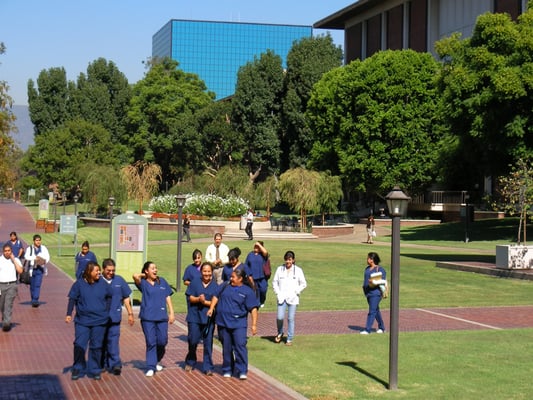 PLATT COLLEGE - Updated September 2025 - 16 Photos & 145 Reviews - 1000 ...