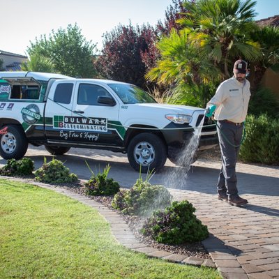 BULWARK EXTERMINATING - Updated December 2025 - 57 Photos & 36 Reviews ...