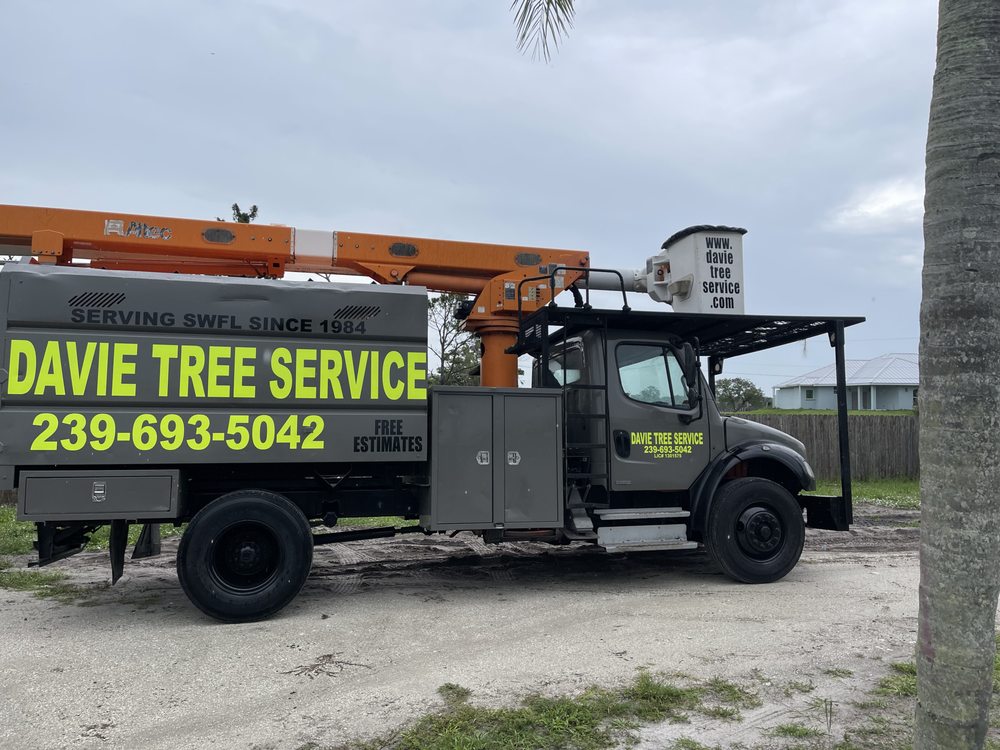 DAVIE TREE SERVICE - Updated October 2025 - 12518 River Rd, Fort Myers, Florida - Tree Services ...