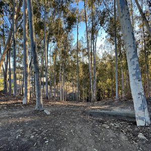 HOURGLASS FIELD COMMUNITY PARK - Updated October 2025 - 39 Photos & 14 ...