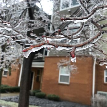 VILLAS AT CHESTNUT RIDGE - Updated December 2025 - 40 Photos & 17 ...