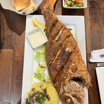 LAVASH CAFE - Updated December 2025 - 565 Photos & 880 Reviews - 2985 N ...