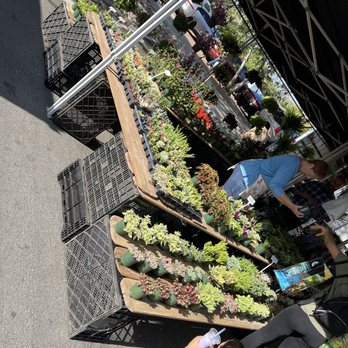 POWAY FARMERS MARKET - Updated December 2024 - 435 Photos & 152 Reviews ...