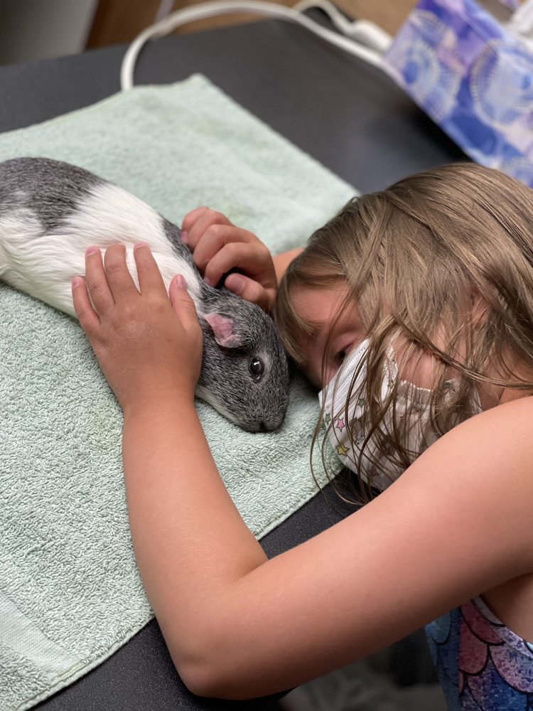 BURKE ANIMAL CLINIC - Updated July 2025 - 18 Photos & 60 Reviews - 6307 ...