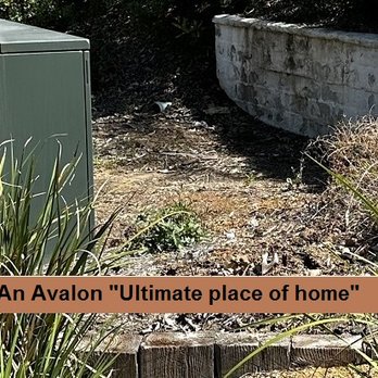 AVALON MANAGEMENT GROUP - Updated June 2025 - 13 Photos & 70 Reviews ...