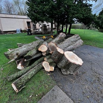 RED OAK TREE SERVICE - Updated July 2025 - 27 Photos & 18 Reviews ...