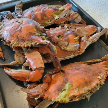 SPADAFORA’S SEAFOOD MARKET - Updated December 2024 - 44 Photos & 69 ...