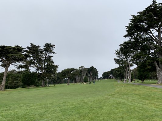 Presidio Golf Course - 96 Photos & 259 Reviews - Golf - 300 Finley Rd ...