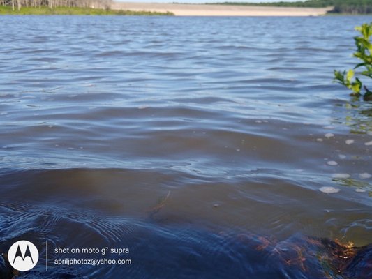 BIRCH LAKE - Updated May 2024 - 25 Photos - Skiatook, Oklahoma ...