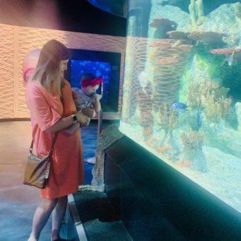 COOK MUSEUM OF NATURAL SCIENCE - Updated December 2025 - 68 Photos & 27 ...