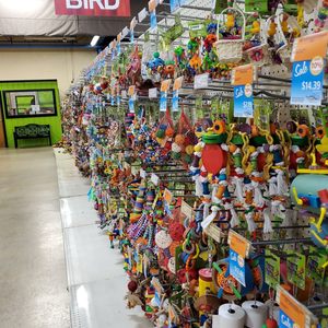 THAT FISH PLACE - THAT PET PLACE - 121 Photos & 107 Reviews - Local ...