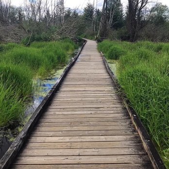 CLEAR CREEK TRAIL - Updated October 2025 - 39 Photos - 9641 Levin Rd ...