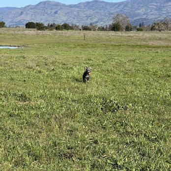 ALSTON PARK - Updated January 2026 - 216 Photos & 76 Reviews - Dry ...