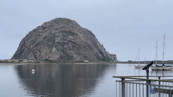 MORRO BAY T PIER SEA OTTER VIEWING AREA - Updated October 2025 - 41 ...