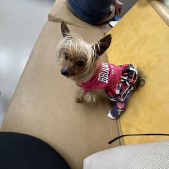 THE REGIONAL VETERINARY REFERRAL CENTER - Updated December 2025 - 28 ...