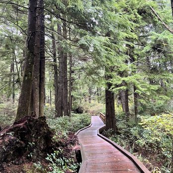 ROCKAWAY BIG TREE TRAILHEAD - Updated December 2025 - 42 Photos - 101 ...