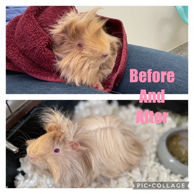 LONGMONT SMALL ANIMAL HOSPITAL - Updated December 2025 - 28 Reviews ...