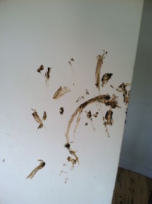 WE LEVEL UP - Updated December 2025 - Request an Appointment - 10 ...