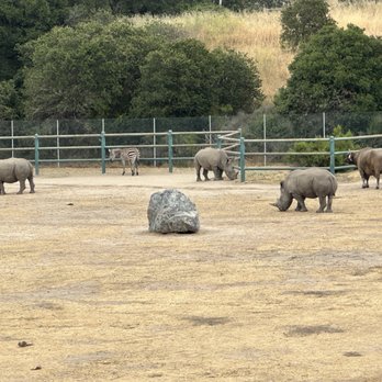 VISION QUEST RANCH - Updated October 2025 - 827 Photos & 319 Reviews ...