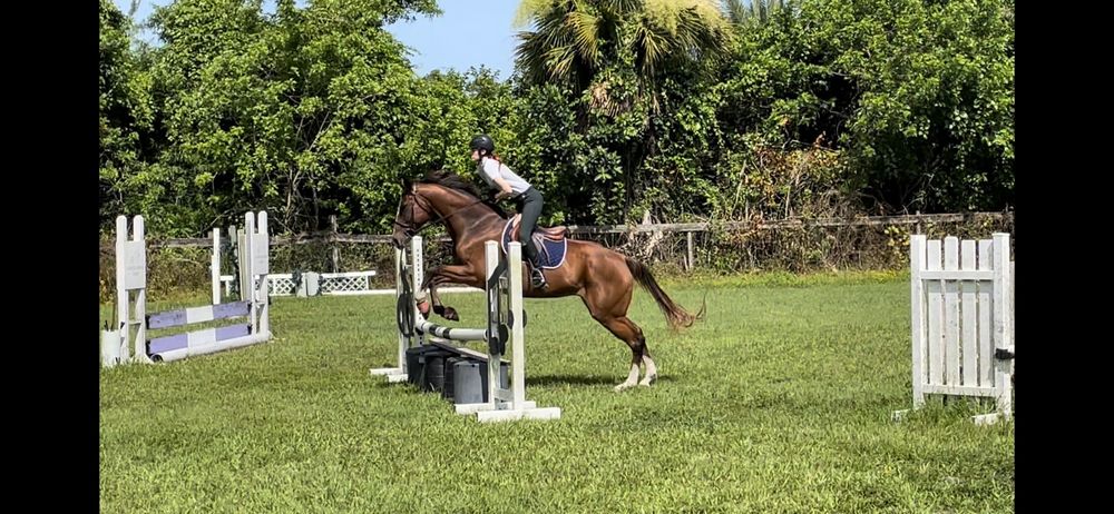 LA PETITE CHEVAL FARM - Updated July 2025 - 13678 14th Pl N ...