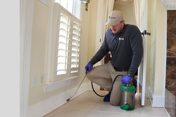 CLEARDEFENSE PEST CONTROL - Updated October 2025 - 20 Photos & 16 ...