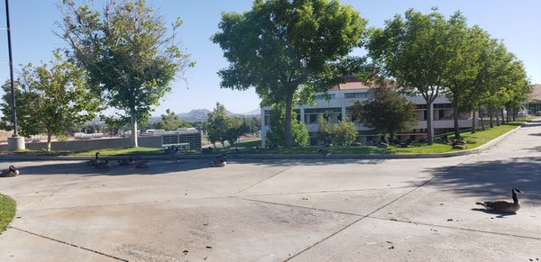 VICTOR VALLEY COLLEGE - Updated June 2024 - 96 Photos & 56 Reviews ...