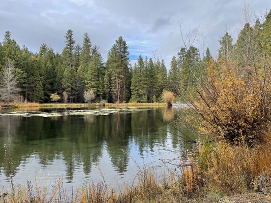 WIZARD FALLS TROUT HATCHERY - Updated August 2025 - 33 Photos & 10 ...