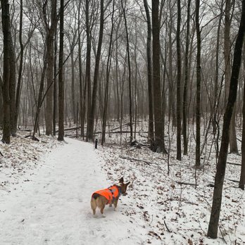 BRIGHTON STATE RECREATION AREA - Updated June 2024 - 30 Photos & 22 ...