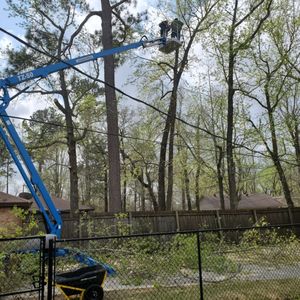 ABC PROFESSIONAL TREE SERVICES - Updated January 2025 - 10 Photos & 24 ...