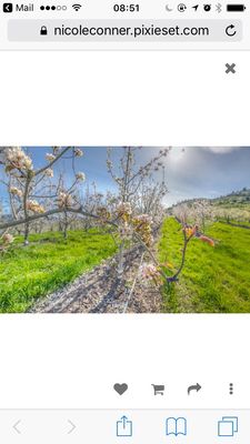 JORDAN UECKER - PREMIER ONE PROPERTIES - 925 Fifth St, Wenatchee, WA - Yelp