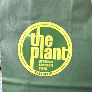 CANNABIS REALM - Updated June 2025 - 11 Photos - 475 Central Ave, White ...