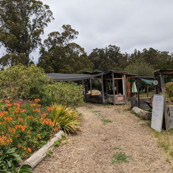 CRYSTAL BAY FARM - Updated November 2024 - 147 Photos & 68 Reviews - 40 ...