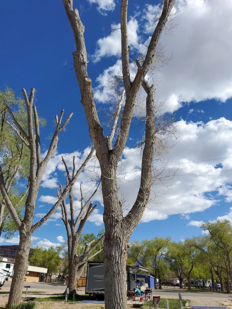 CEDAR CITY RV RESORT BY RJOURNEY - Updated August 2024 - 133 Photos ...