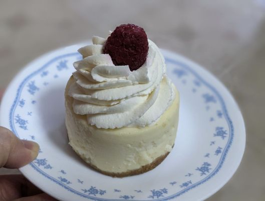 THINKING CUP - Updated January 2025 - 731 Photos & 708 Reviews - 236 ...