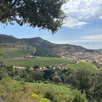 REPRIS WINES - Updated August 2025 - 193 Photos & 87 Reviews - 1700 ...