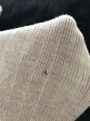 LAMB’S INVISIBLE REWEAVING - Updated August 2025 - 24 Reviews - 4221 ...