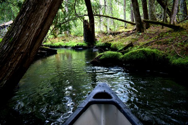 SHINGOBEE CANOE ADVENTURES - Updated November 2024 - North Country ...