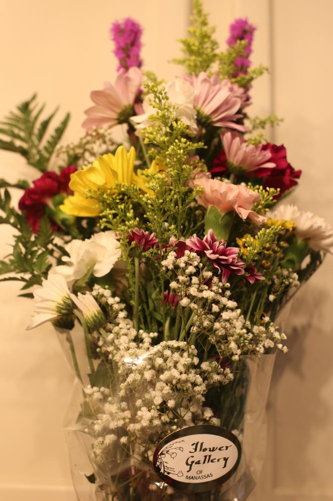 FLOWER GALLERY OF VIRGINIA - 54 Photos & 63 Reviews - 10816 Sudley ...