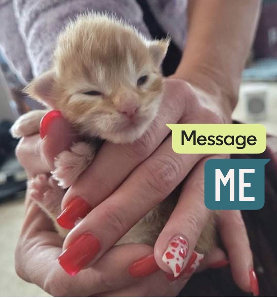 QT COONS - Request Information - Geneseo, IL - Yelp