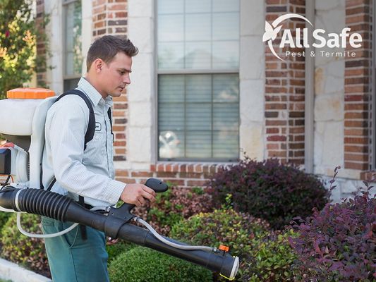 ALL-SAFE PEST & TERMITE - Updated April 2025 - 77 Photos & 93 Reviews ...