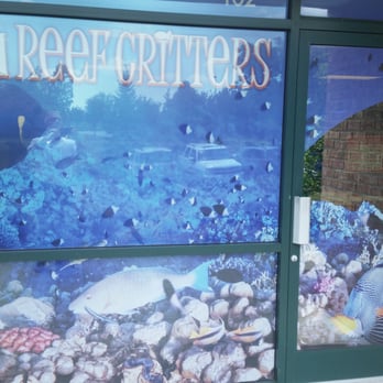 TRIAD REEF CRITTERS - Updated January 2026 - 365 Photos & 25 Reviews ...