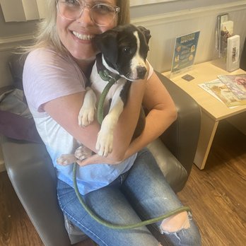 CARE STL - Updated November 2025 - 41 Photos & 13 Reviews - 2700 Walnut ...