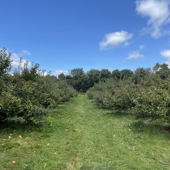 STUART’S FRUIT FARM - Updated January 2026 - 179 Photos & 91 Reviews ...