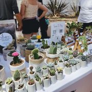 MELROSE TRADING POST - 593 Photos & 478 Reviews - Antiques - 7850 ...