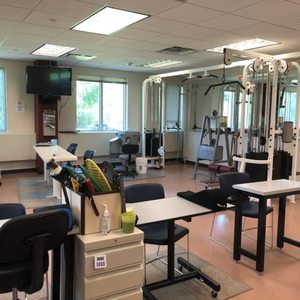 PROFESSIONAL PHYSICAL THERAPY - Updated January 2026 - 91 Main St ...