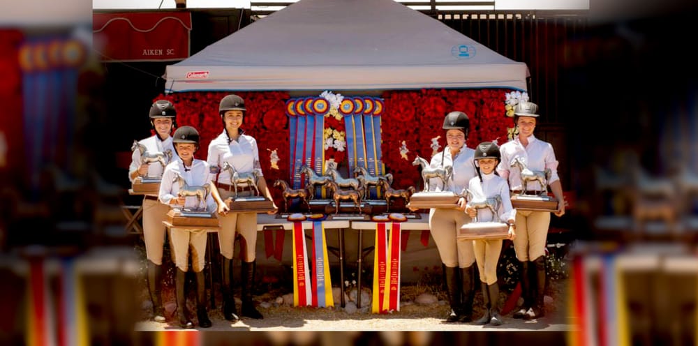 CYNTHIA CUBBAGE, SPORT HORSES - Updated July 2025 - 3994 Belair Rd ...