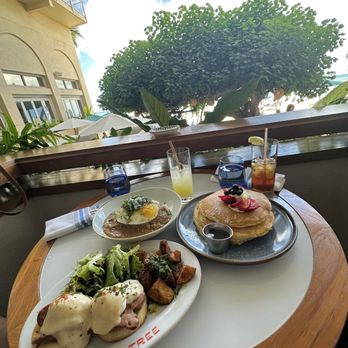 HAU TREE - Updated February 2025 - 2605 Photos & 813 Reviews - 2863 ...