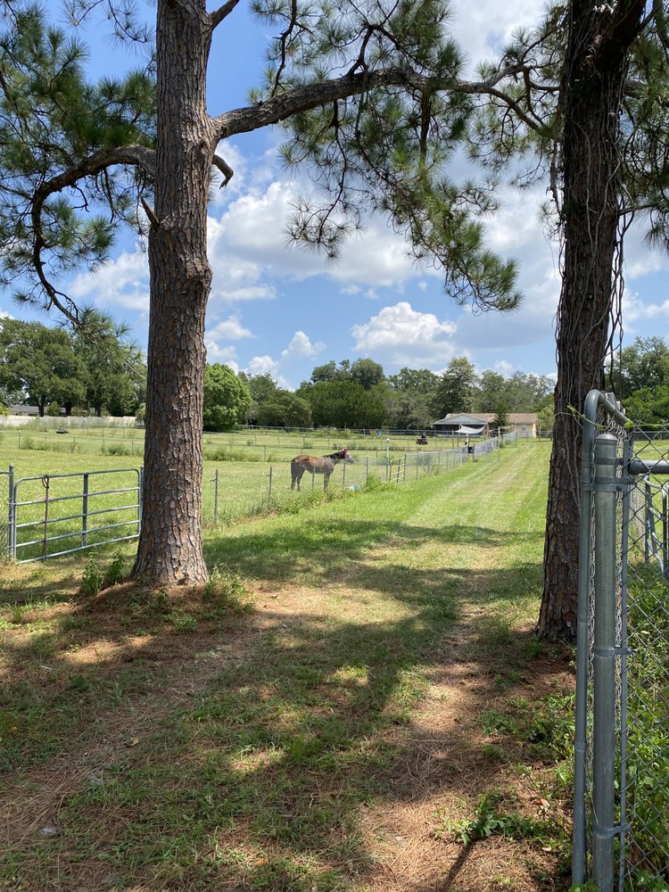 GREEN ACRES STABLES - Updated September 2025 - Request Information - 11 ...